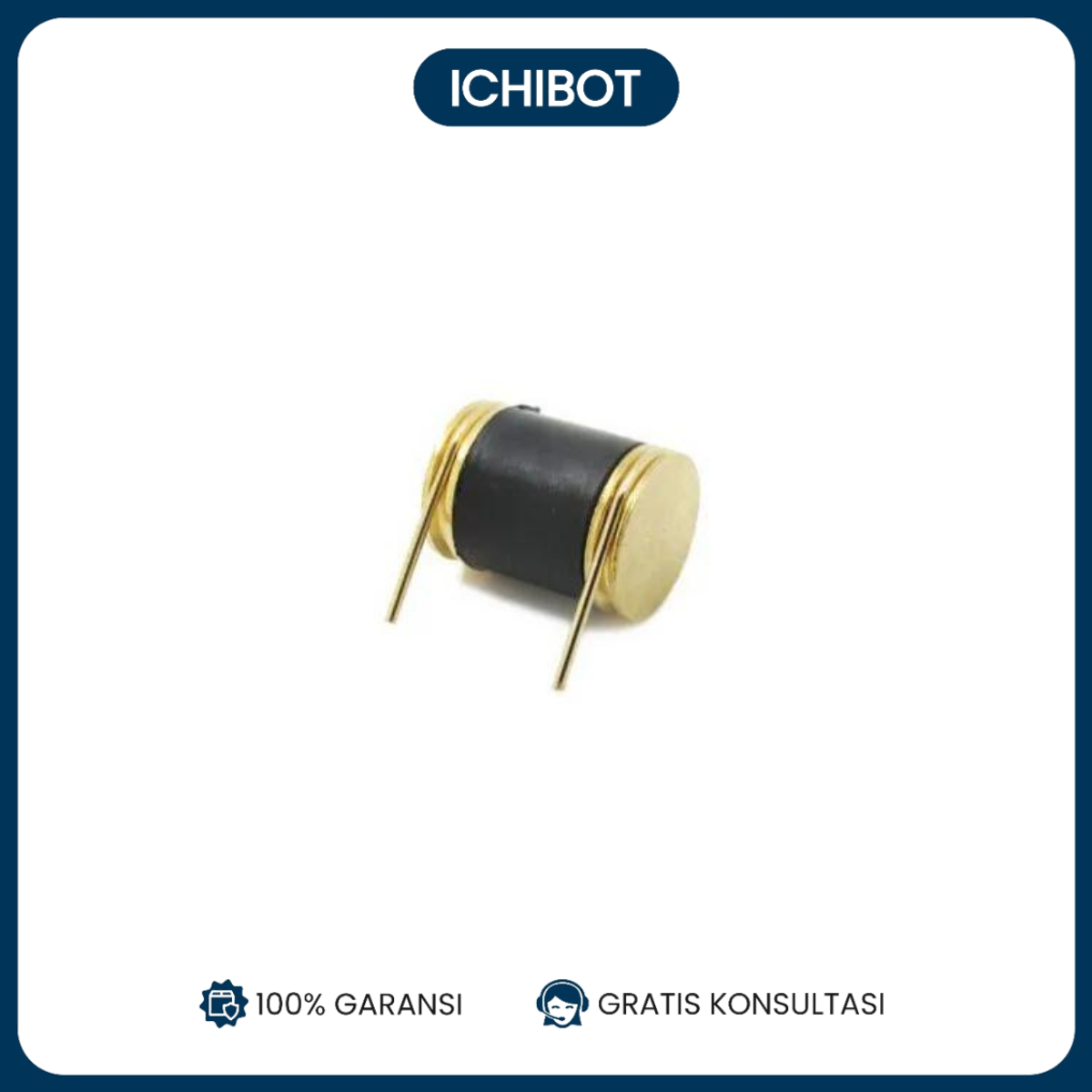 Sensor Getar ANT-801S Vibration Sensor / Voltage Output / Vibration ...